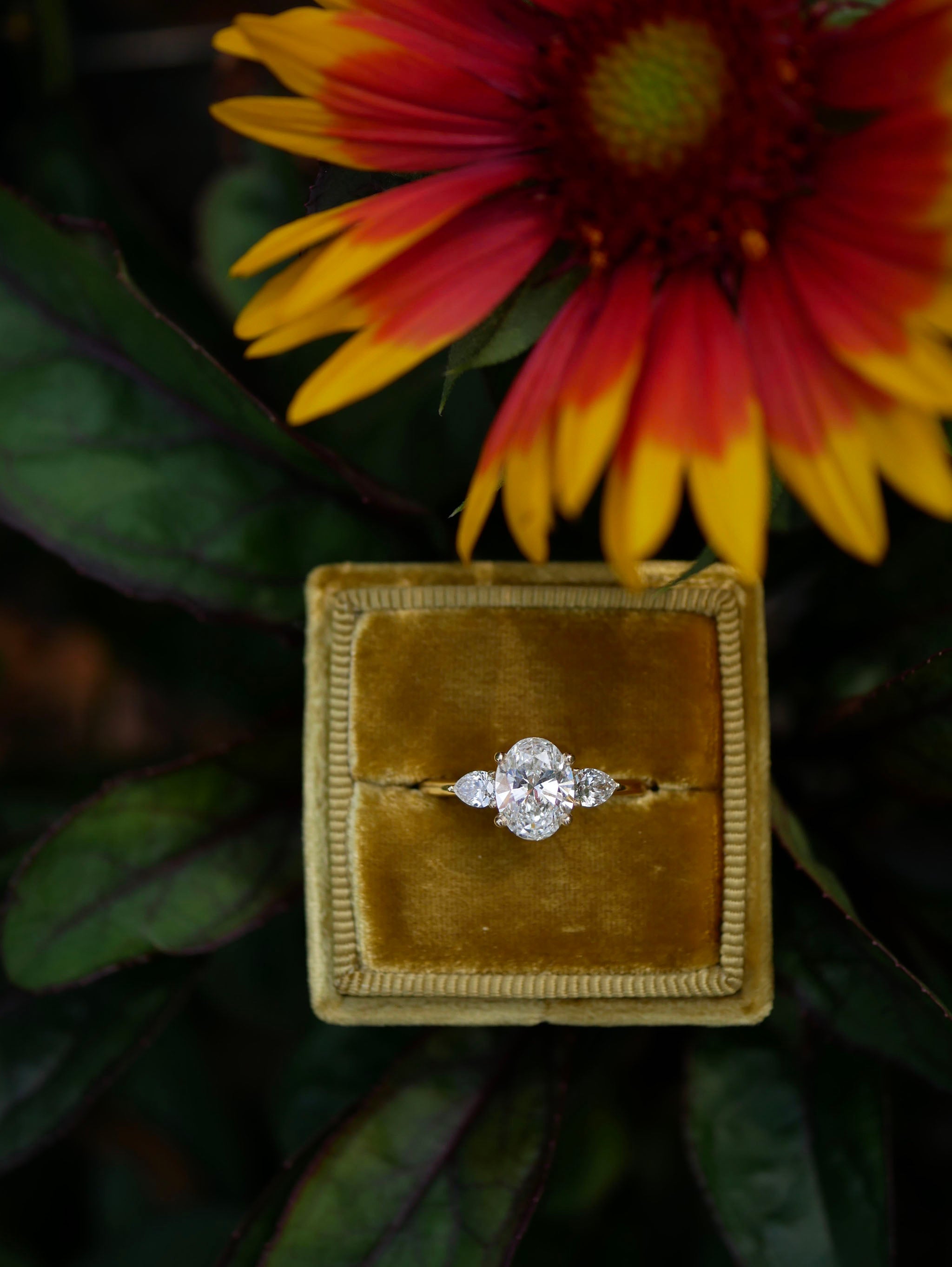 Winged Diamond Ring – Emily Warden Designs